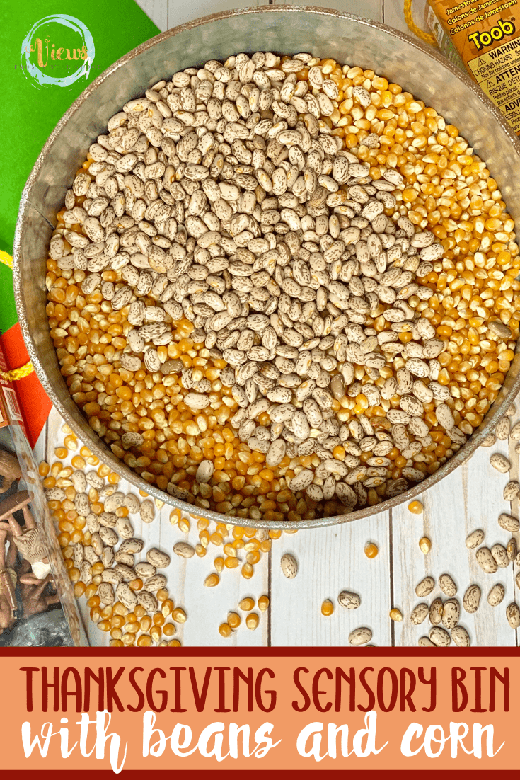 Thanksgiving Sensory Bin: Native American and Pilgrim Small World ...