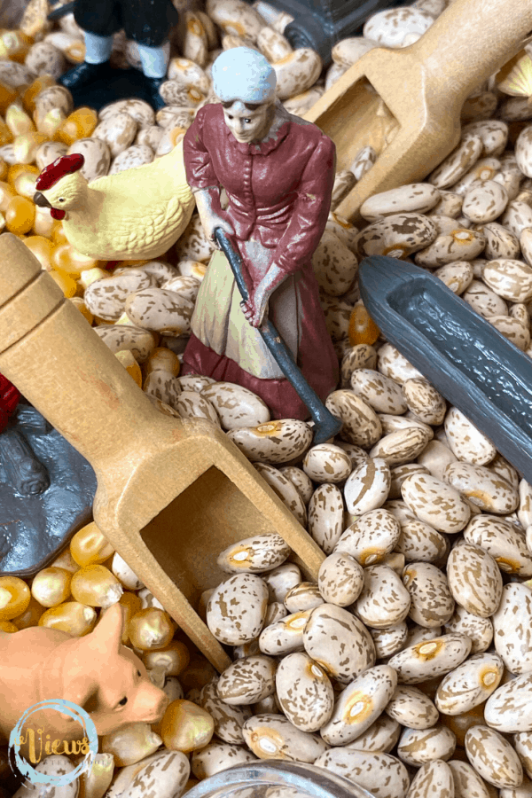 Thanksgiving Sensory Bin: Native American and Pilgrim Small World ...