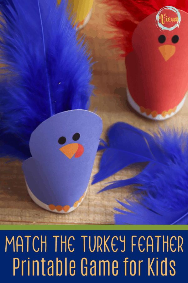 Color Matching Turkey Feather Game - Views From a Step Stool