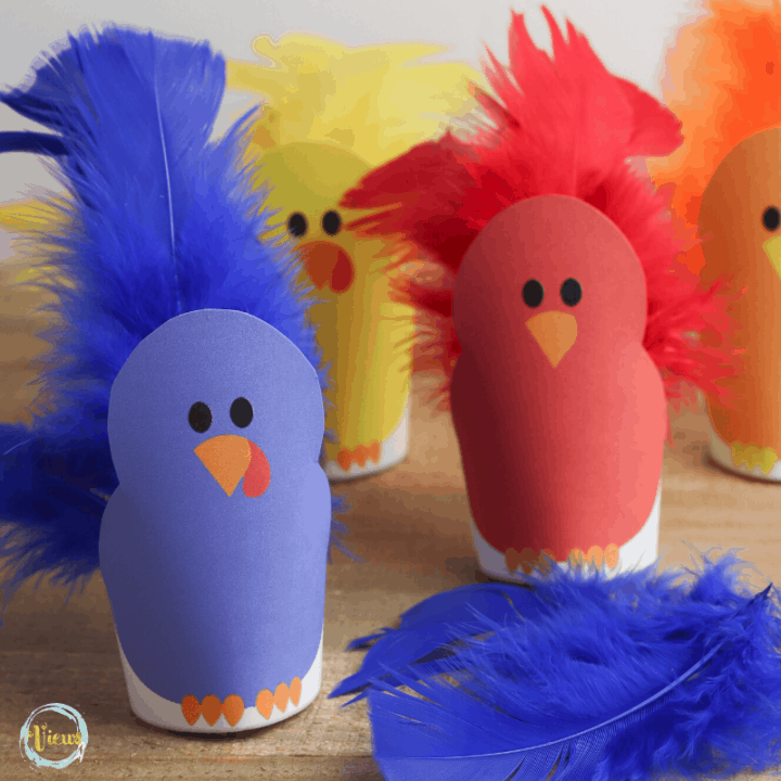 Color Matching Turkey Feather Game - Views From a Step Stool