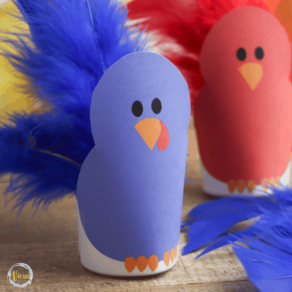 Color Matching Turkey Feather Game - Views From a Step Stool