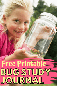 Printable Bug Study Journal - Views From a Step Stool