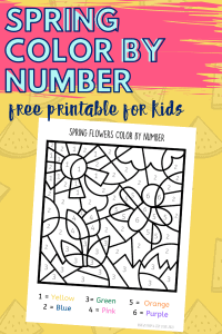 Color by Number Spring Printable for Kids - Views From a Step Stool