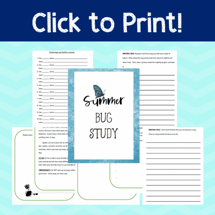 Printable Bug Study Journal - Views From a Step Stool