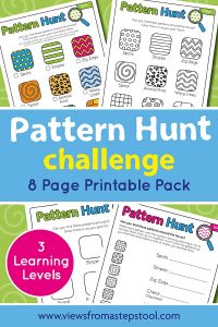 Pattern Scavenger Hunt - Views From a Step Stool