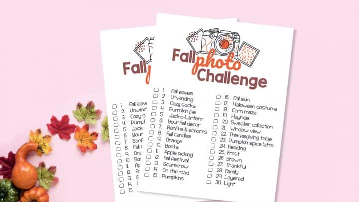 Fall Photo Challenge Printable for Kids - Views From a Step Stool
