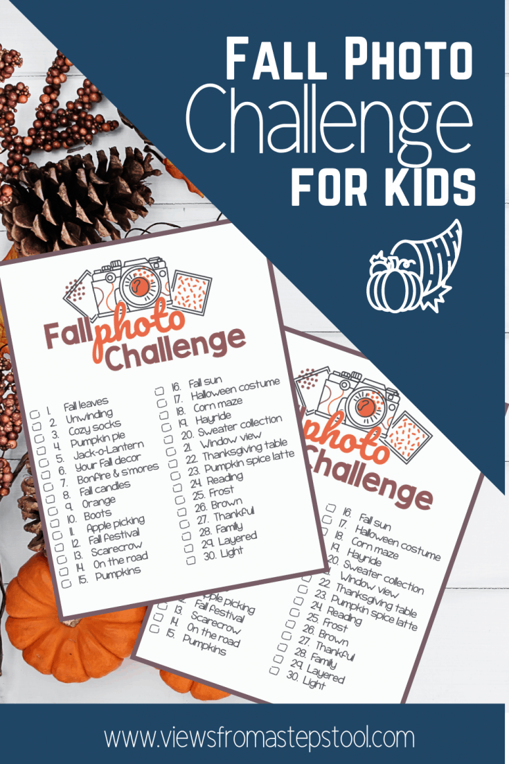 Fall Photo Challenge Printable for Kids - Views From a Step Stool
