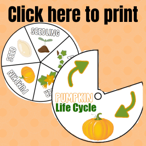 Printable Pumpkin Life Cycle Story Wheel - Views From a Step Stool