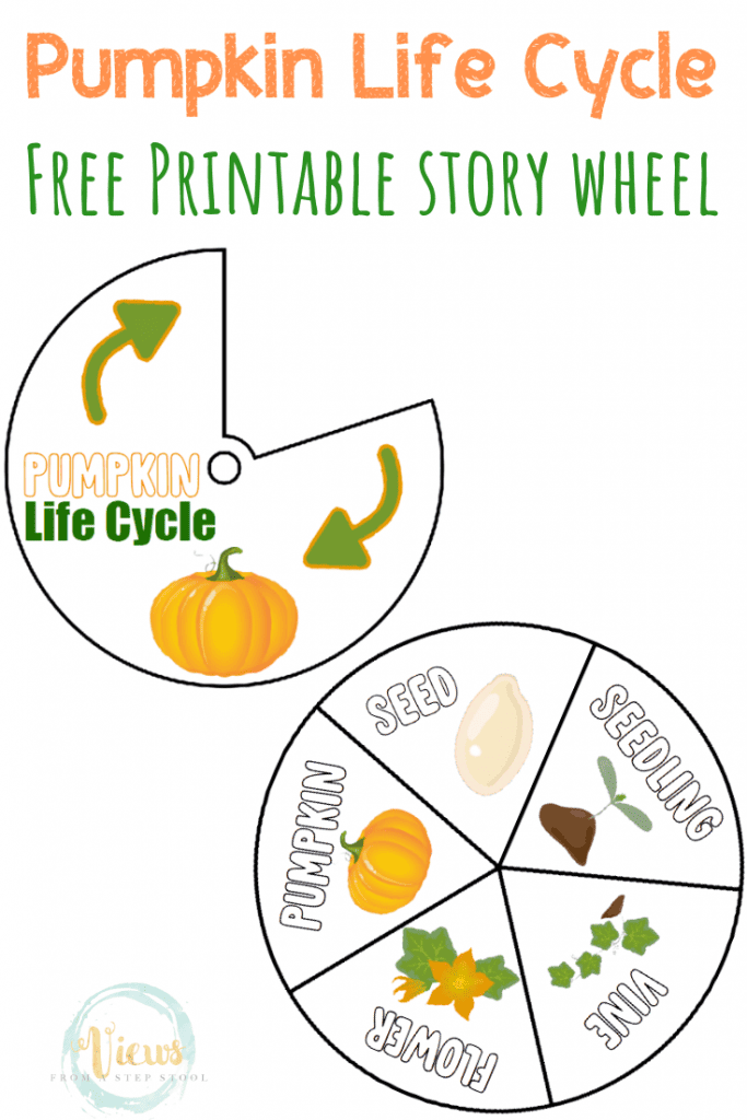 Printable Pumpkin Life Cycle Story Wheel - Views From a Step Stool