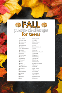 Fall Photo Challenge for Teens Printable - Views From a Step Stool