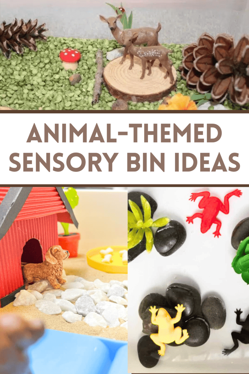 12 Animal Sensory Bin Ideas for Kids - Views From a Step Stool