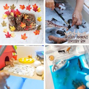 12 Animal Sensory Bin Ideas for Kids - Views From a Step Stool