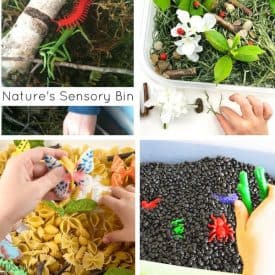 10 Insect Themed Sensory Bins - Views From a Step Stool