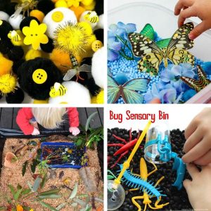 10 Insect Themed Sensory Bins - Views From a Step Stool
