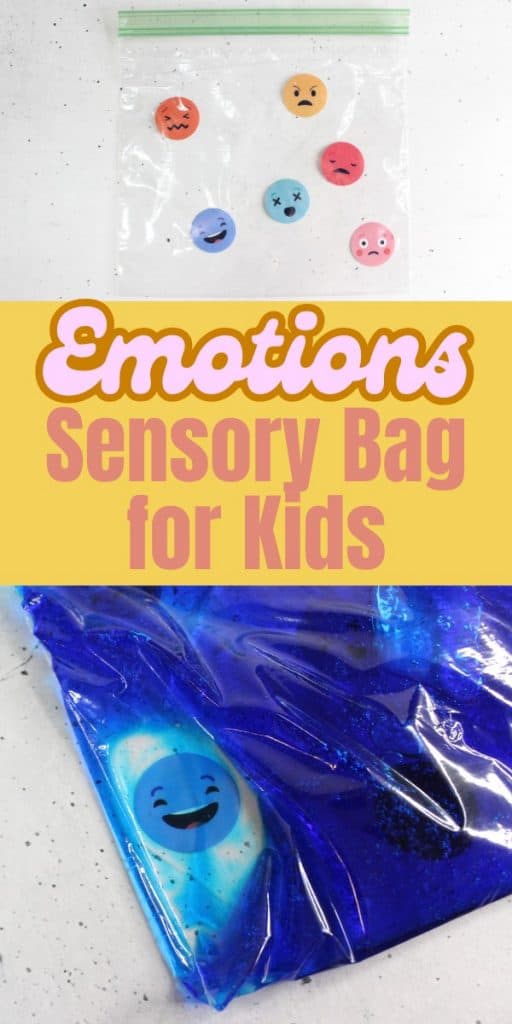 Emotions Sensory Bag - Views From a Step Stool